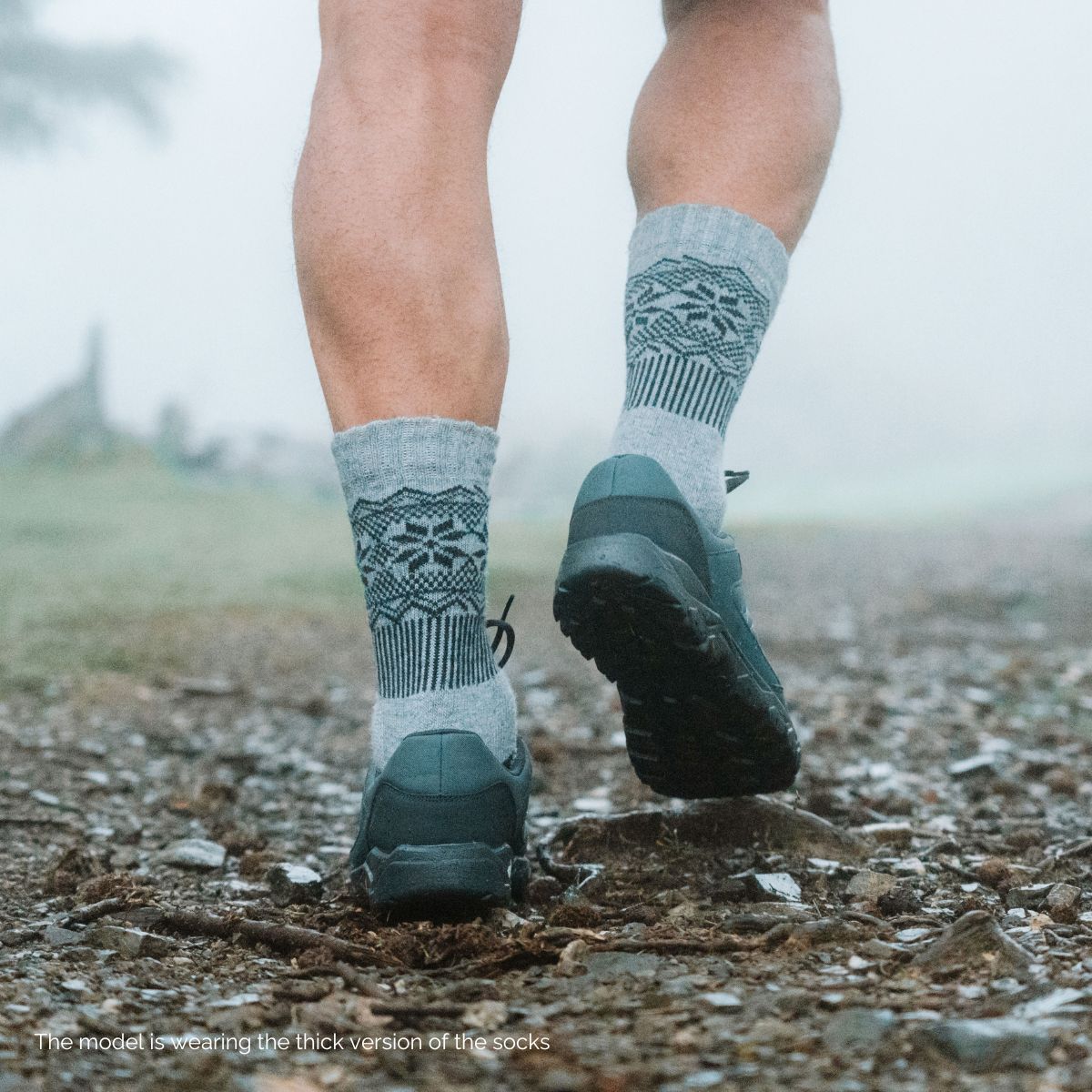 Explorer（2足） - Nordic Socks JP