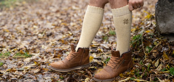 Elements（3足） - Nordic Socks JP